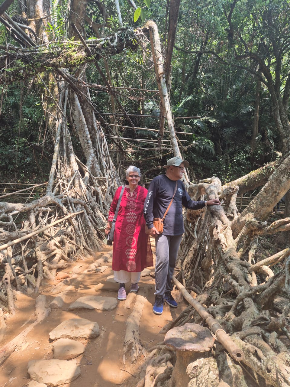Living Root Bridges of Meghalaya: Nature’s Marvels – Travel-along.in